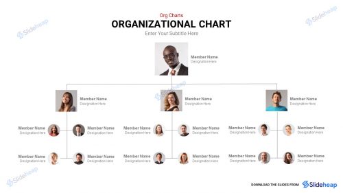 Organizational Chart Template - Professional Hierarchy and Structure ...