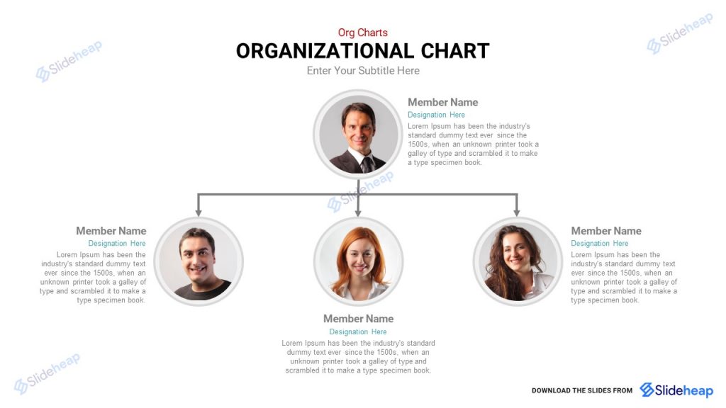 Organizational Chart Template - Professional Hierarchy and Structure ...